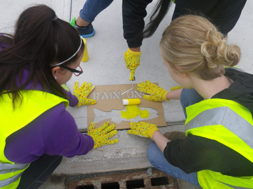 The Yellow Fish Road™ Basic Kit – Freshwater Conservation Canada