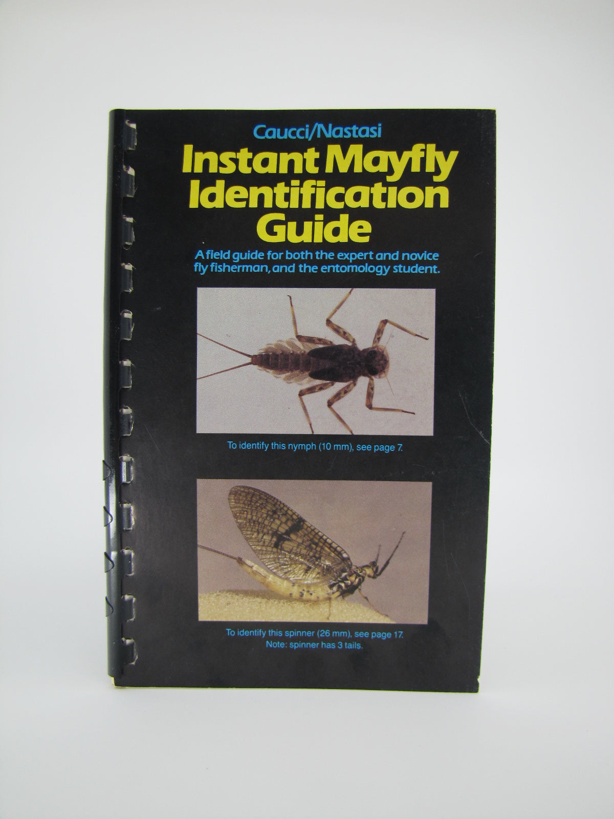 Instant Mayfly Identification Guide - Supporting Freshwater ...